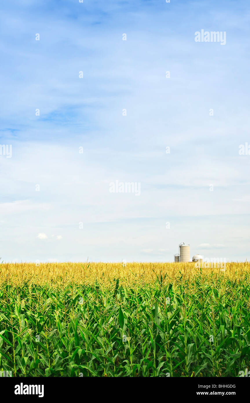 Agricultural farm landscape hi-res stock photography and images - Alamy