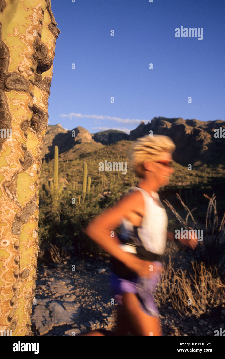 Pamela reed hi-res stock photography and images - Alamy