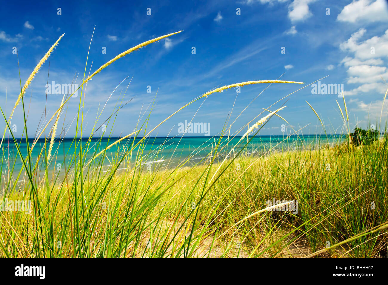 Ocean grass sand waves hi-res stock photography and images - Alamy