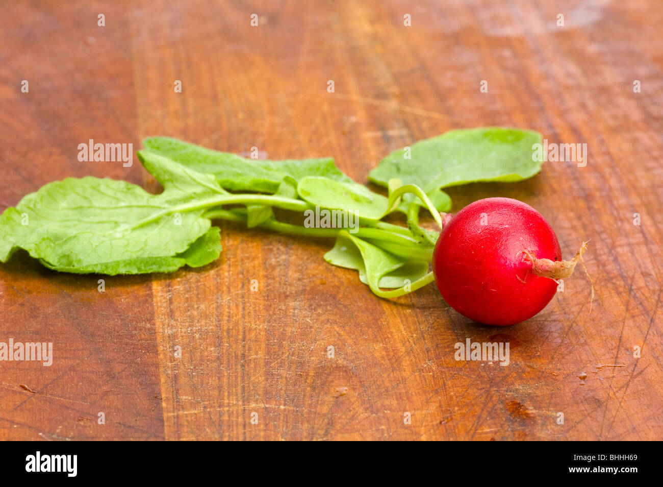 Pungent radish hi-res stock photography and images - Alamy