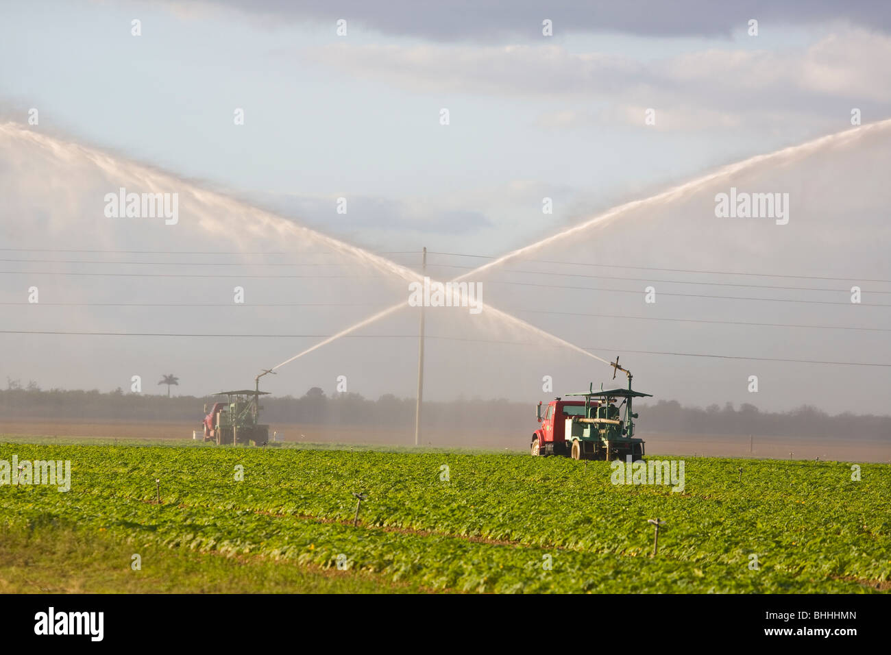 Irrigating hi-res stock photography and images - Alamy