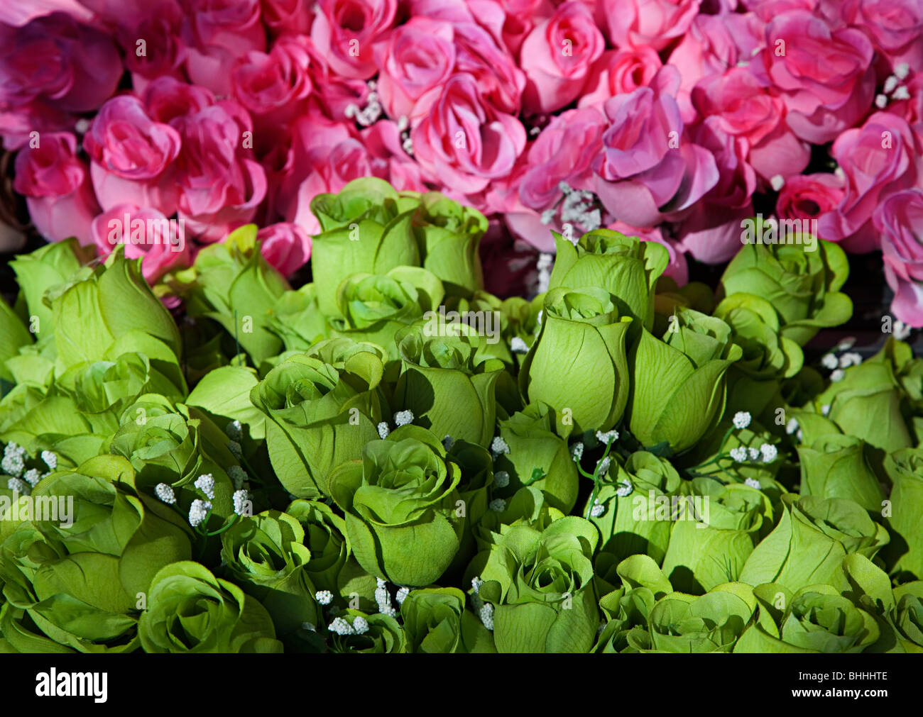 Roses on display hi-res stock photography and images - Alamy
