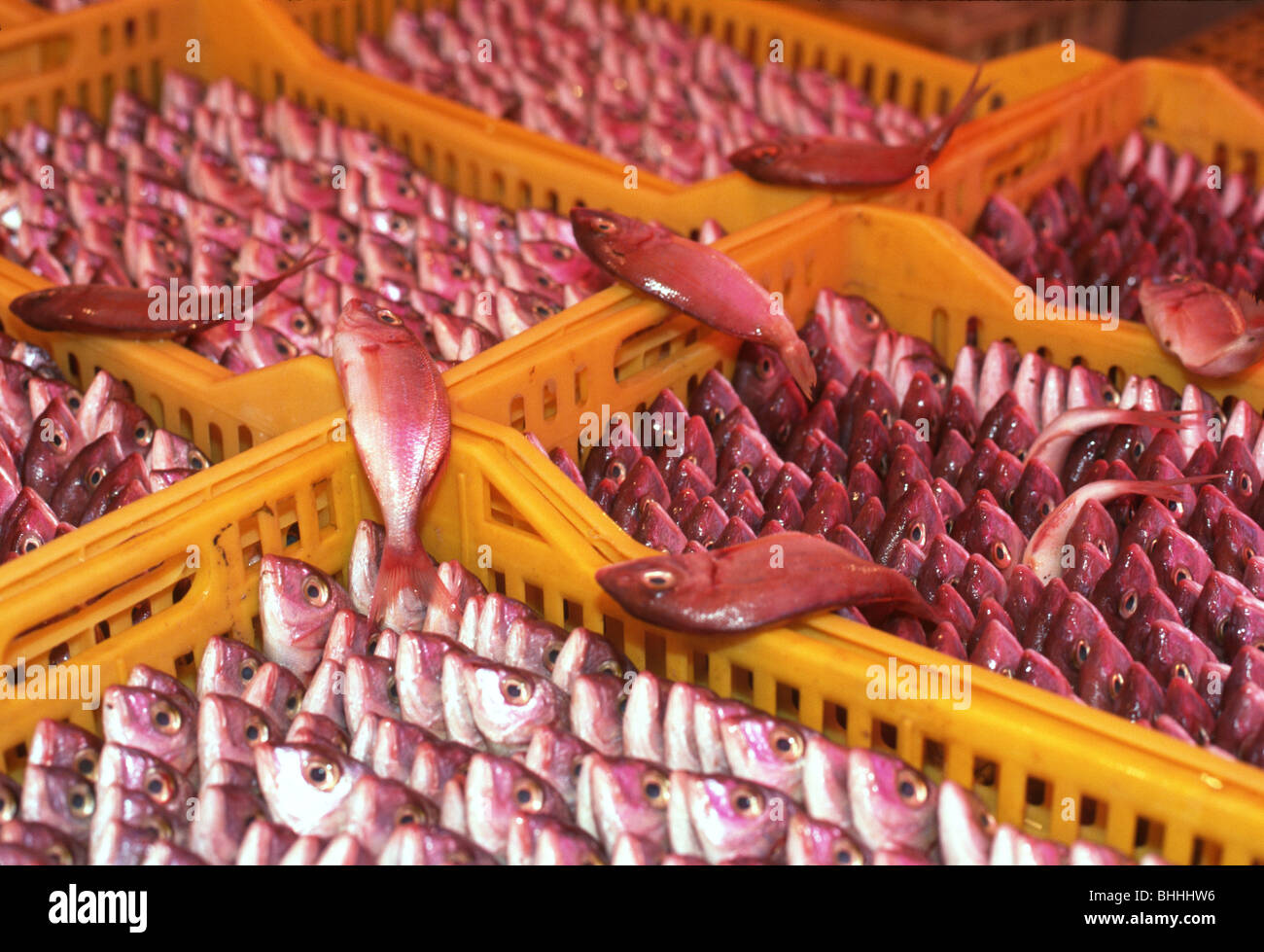 Packed neatly hi-res stock photography and images - Alamy