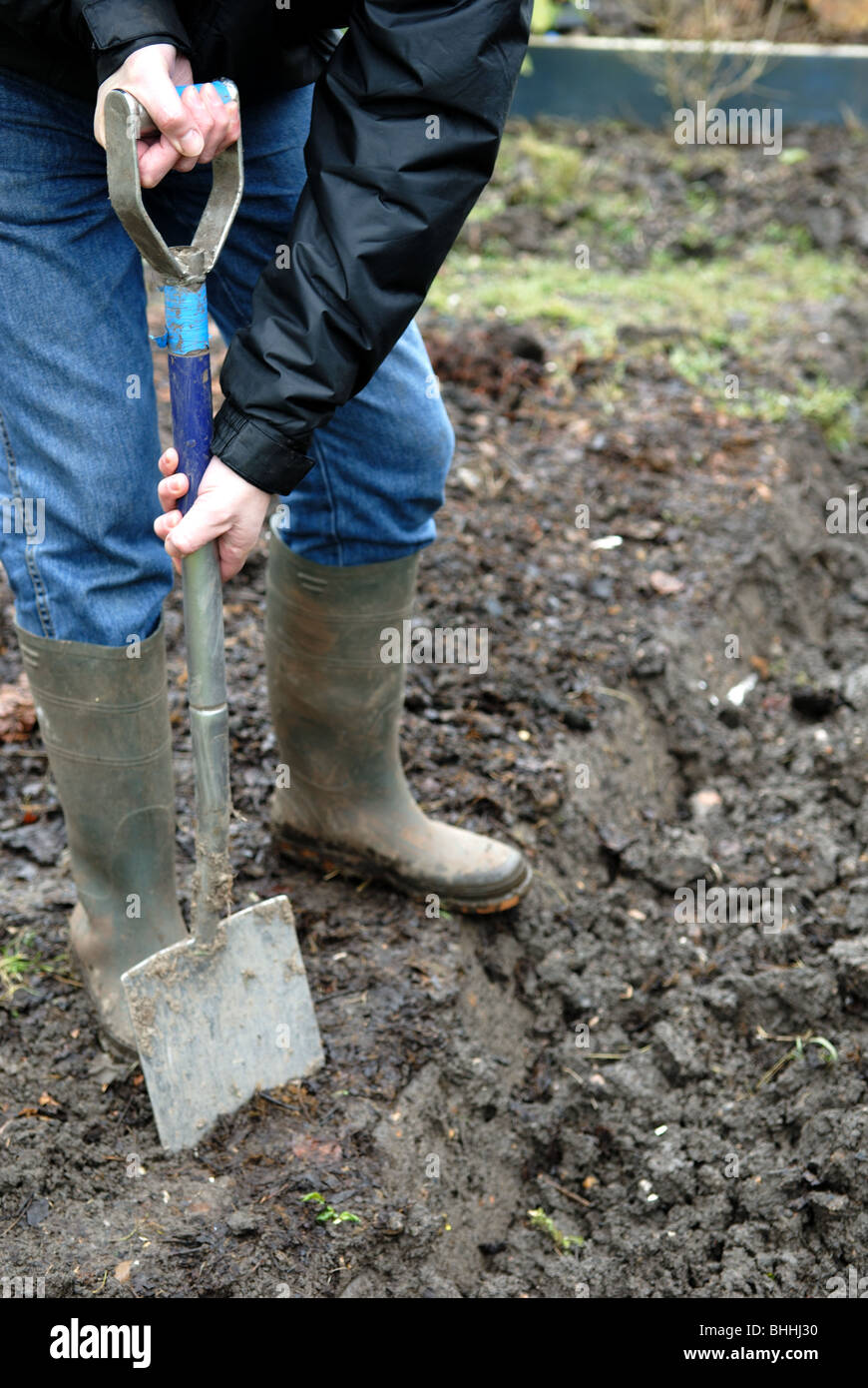 Male Digging Garden Stock Photo - Alamy
