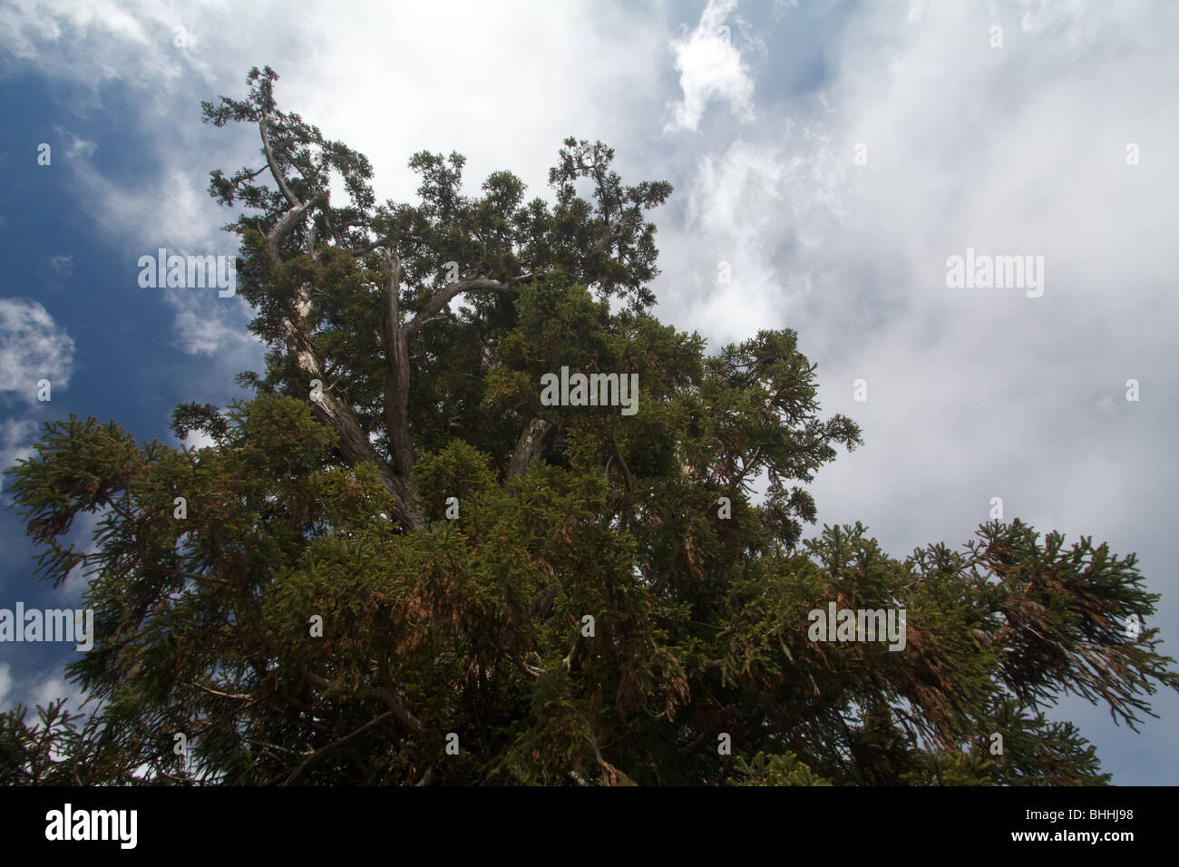 3000 years hi-res stock photography and images - Alamy