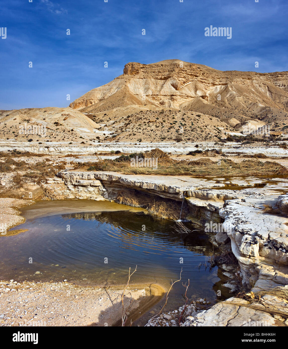 Spring and lake in Negev desert, Israel Stock Photo - Alamy