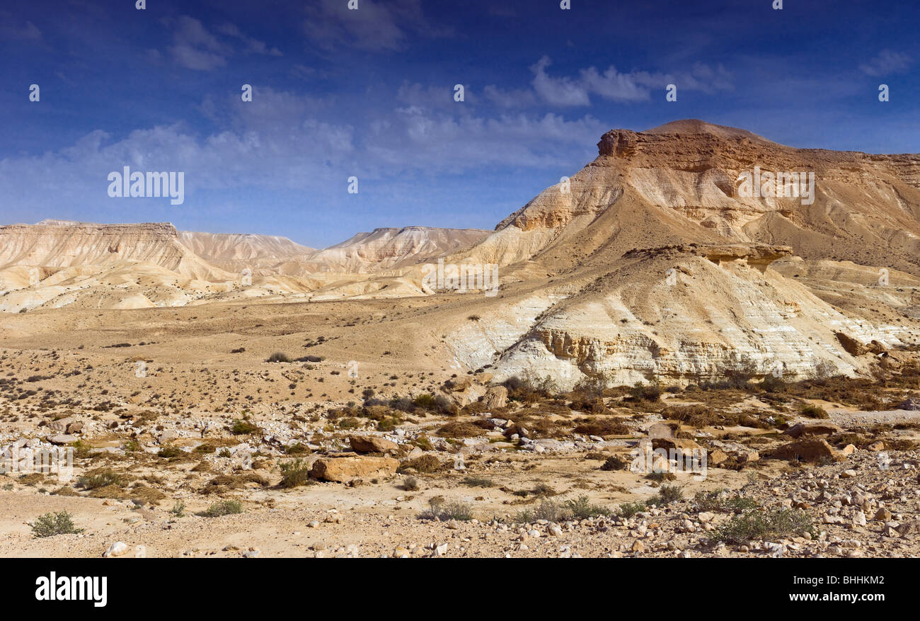 Negev Desert