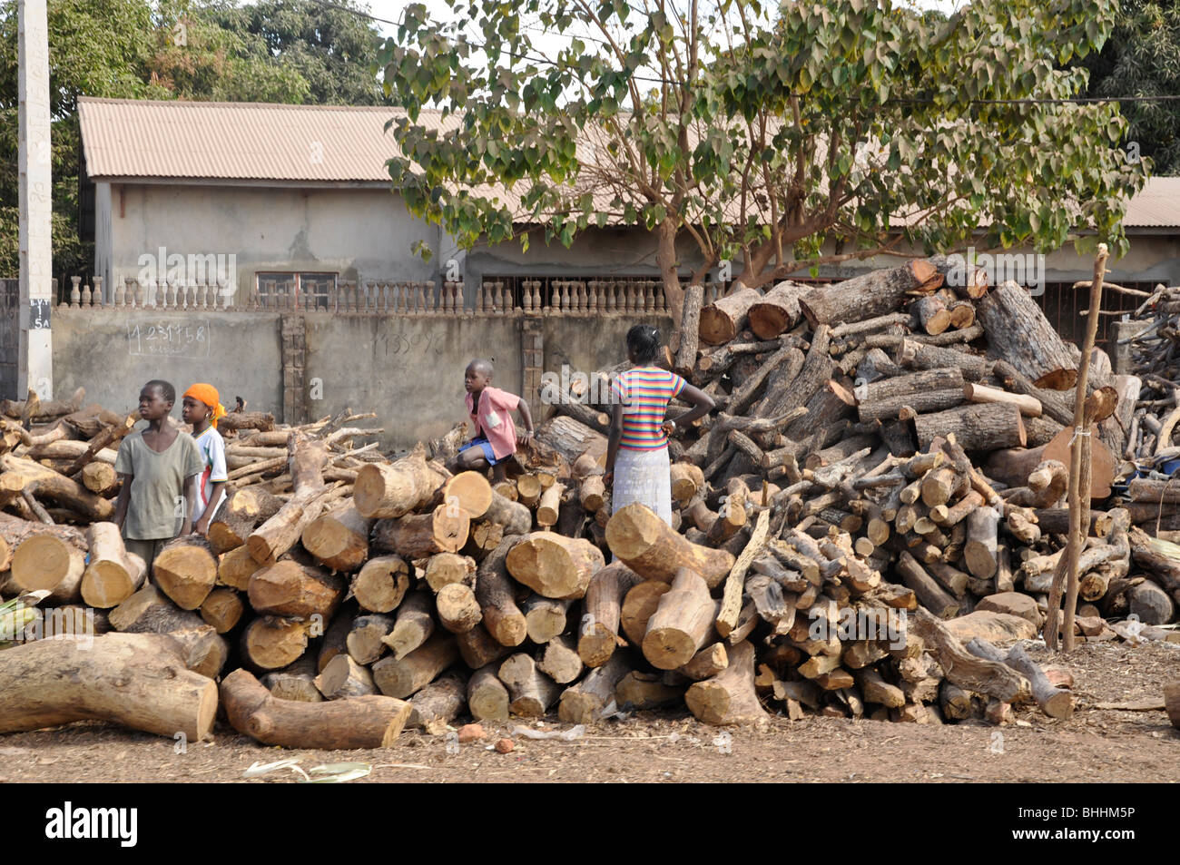 Fuelwood High Resolution Stock Photography and Images - Alamy