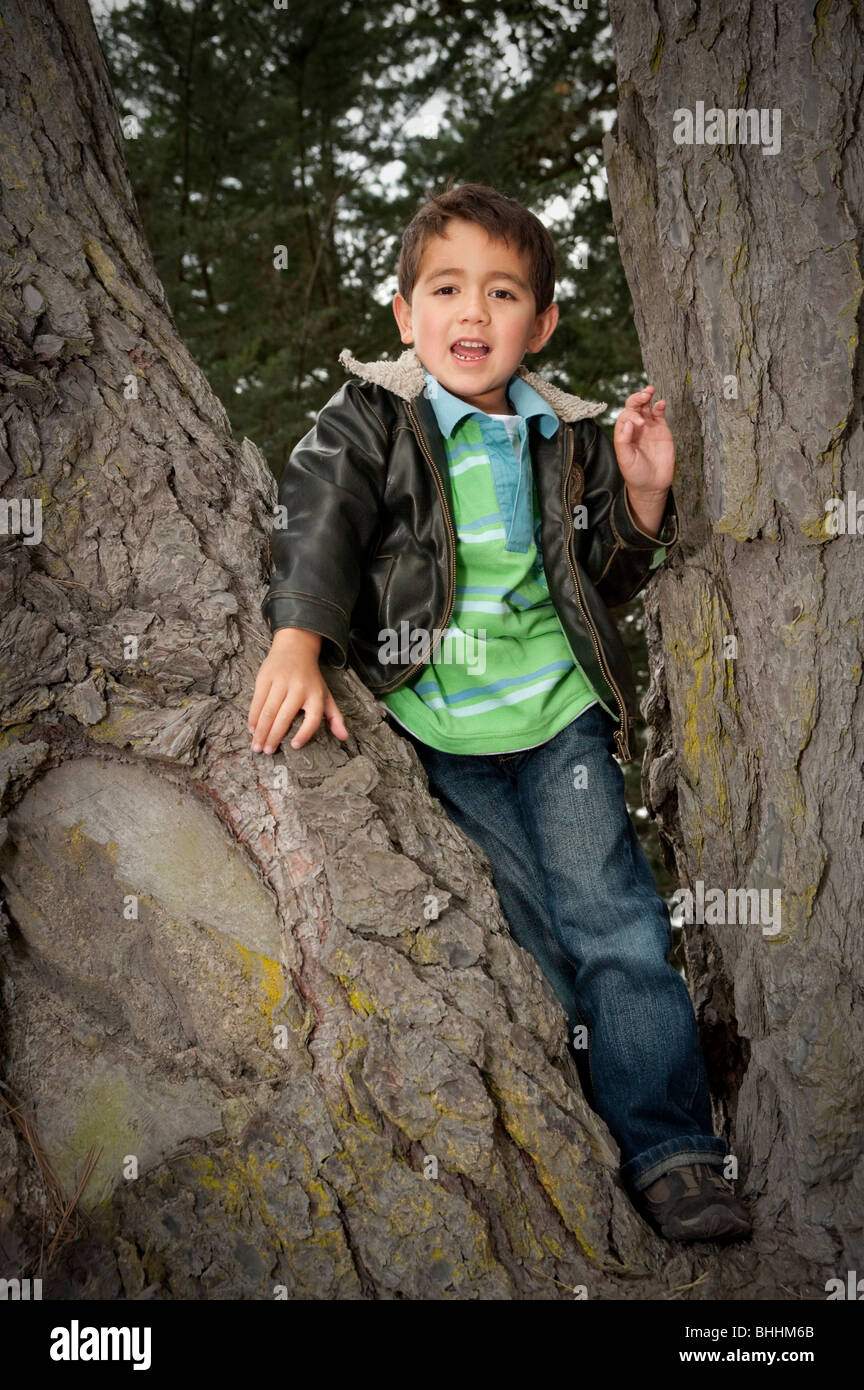 little Pacific Islander boy posing for portrait while climbing tree ...