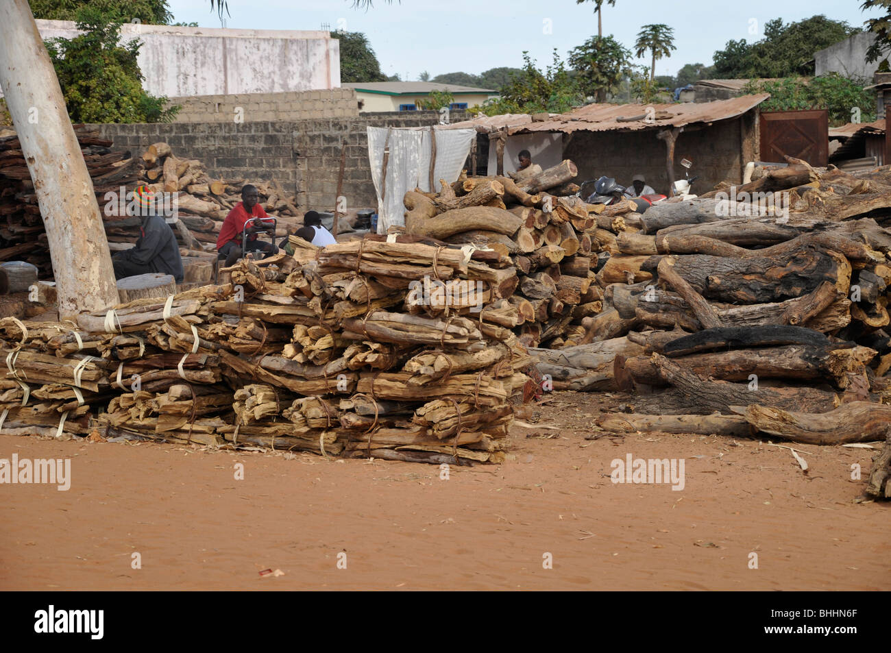 Wood fuel firewood gambia hi-res stock photography and images - Alamy