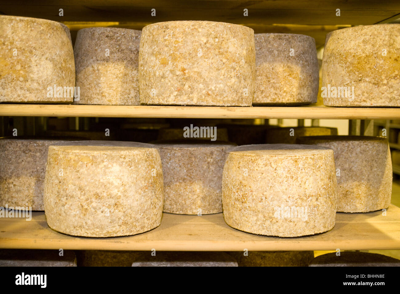 Maturing cheeses hi-res stock photography and images - Alamy