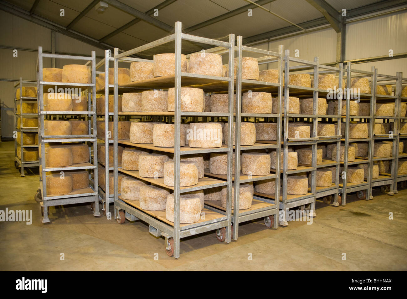 Maturing cheeses hi-res stock photography and images - Alamy