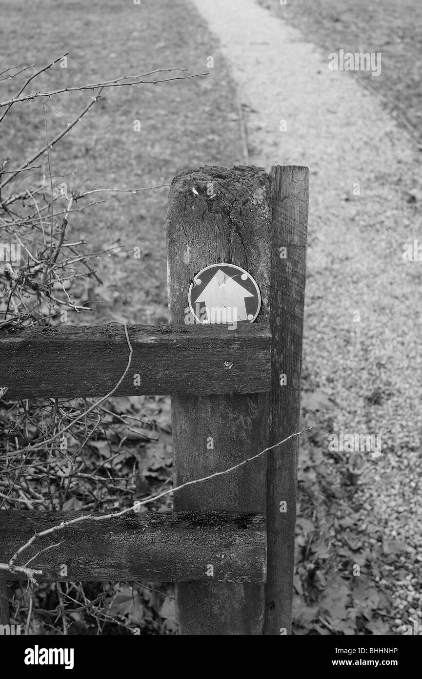 Through vegetation Black and White Stock Photos & Images - Alamy