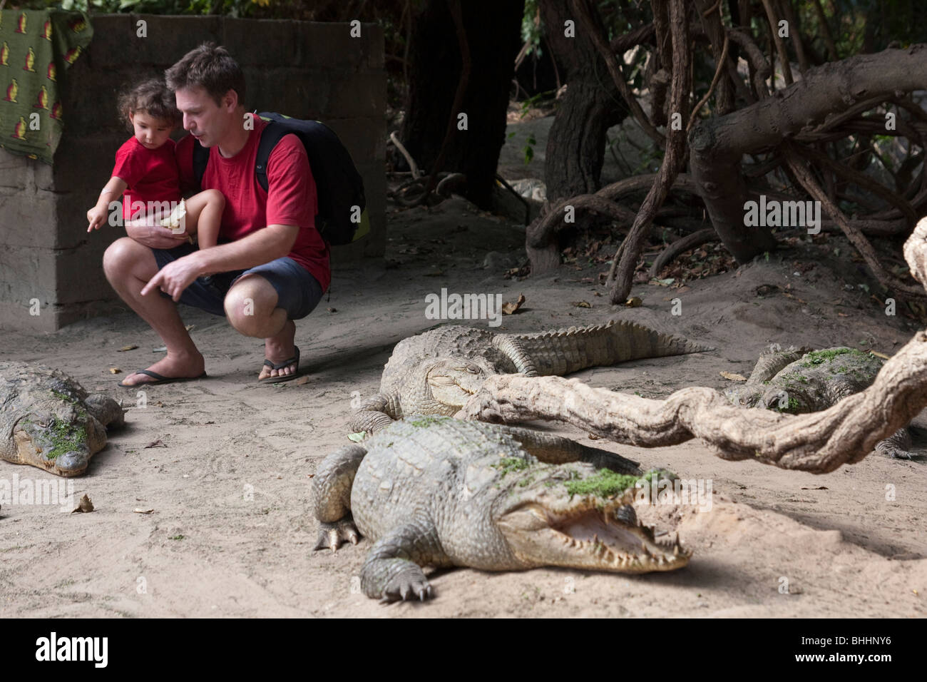 Serekunda market stalls Gambia West Africa Stock Photo - Alamy