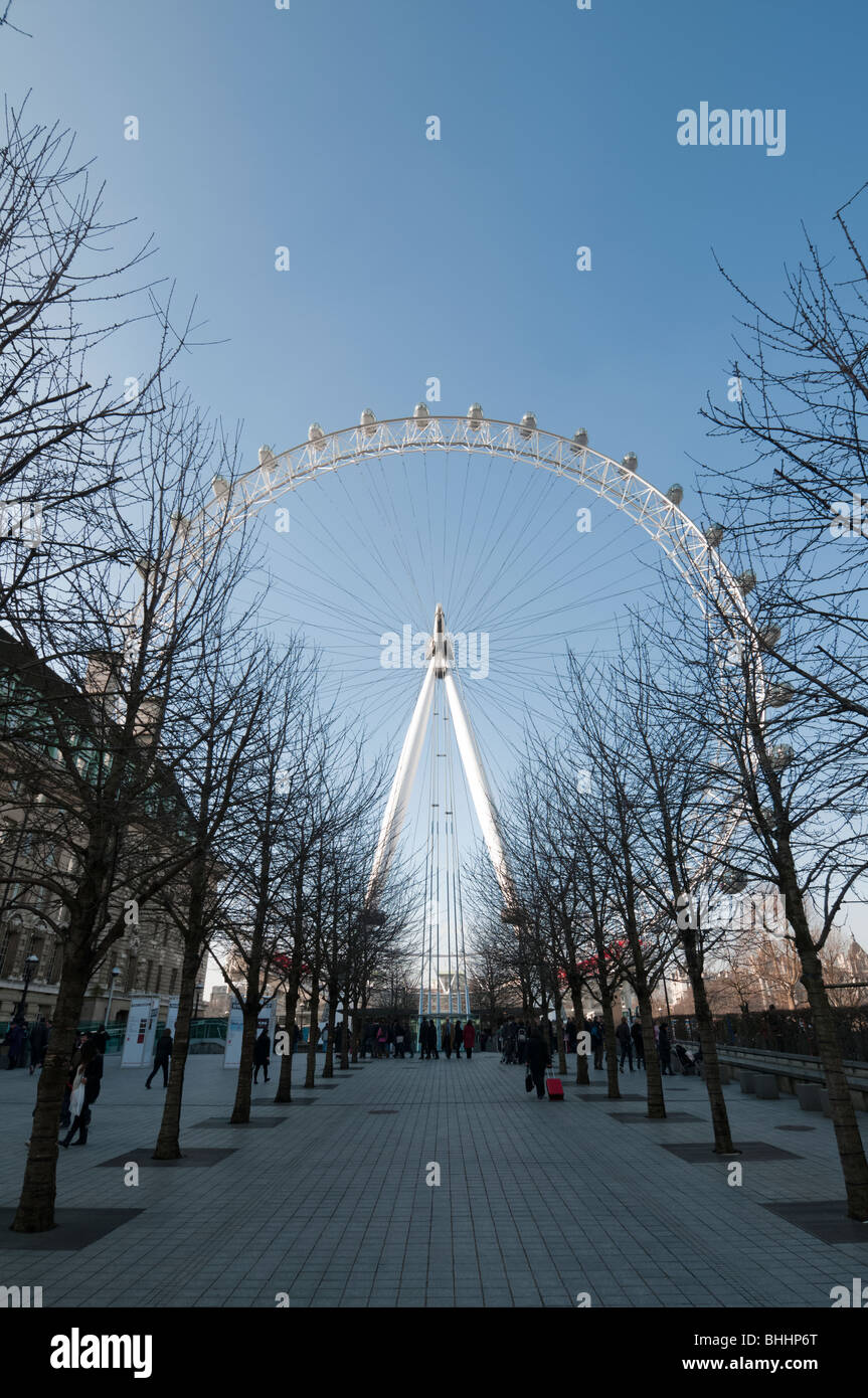 Tree-lined view of the London Eye Stock Photo - Alamy