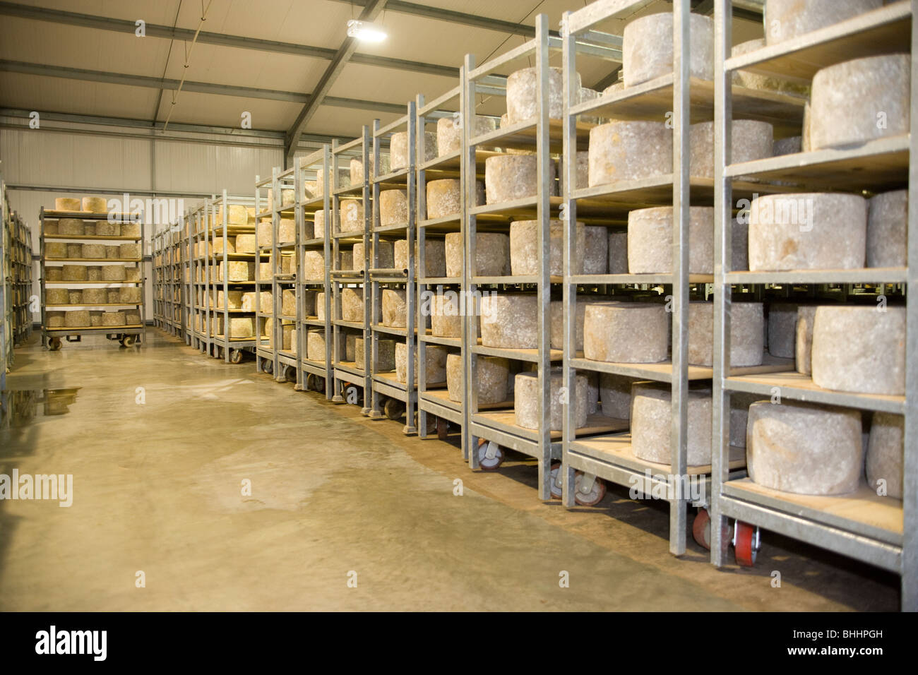 Maturing cheeses hi-res stock photography and images - Alamy