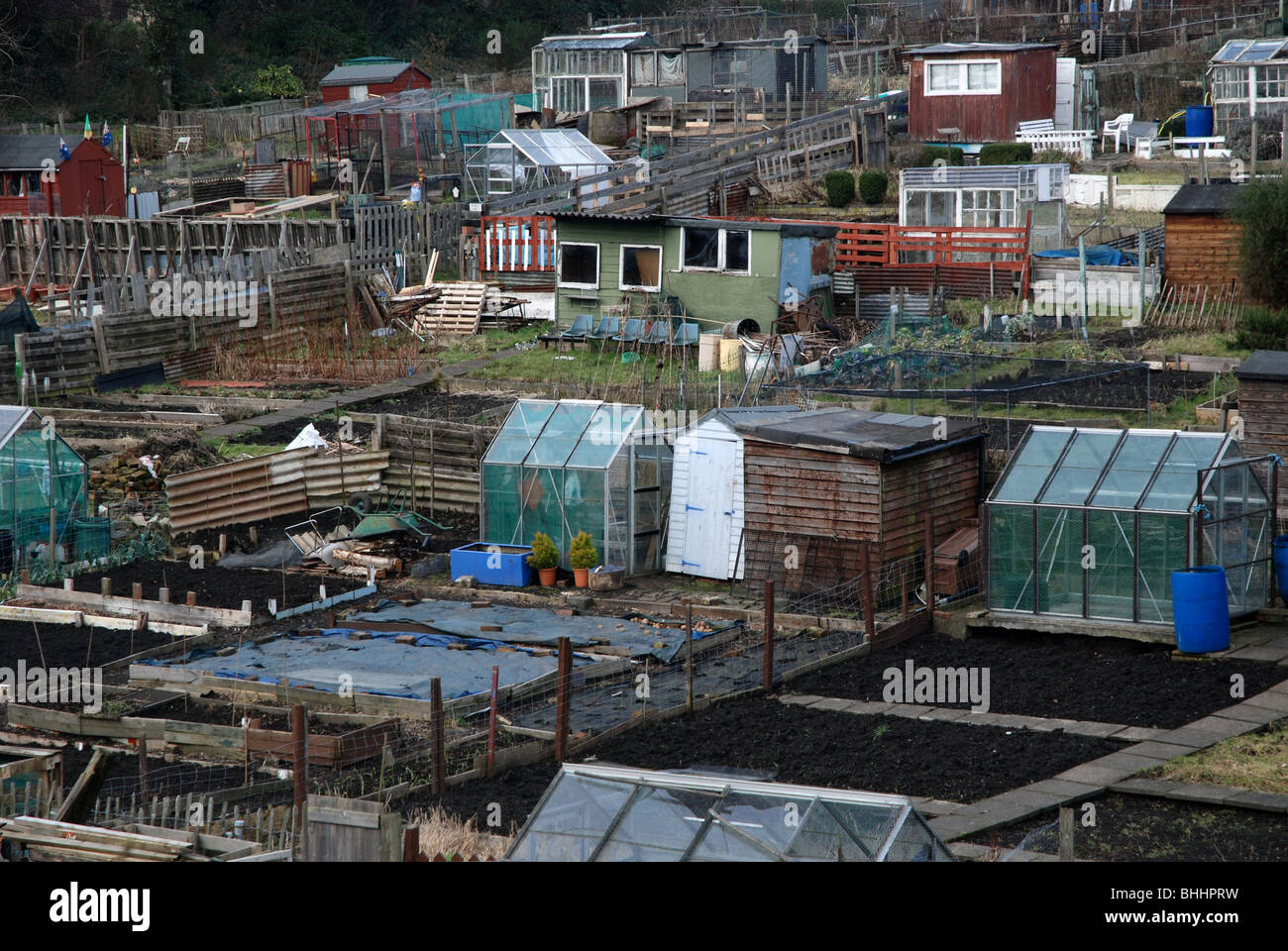 Allotments in Edinburgh Stock Photo - Alamy