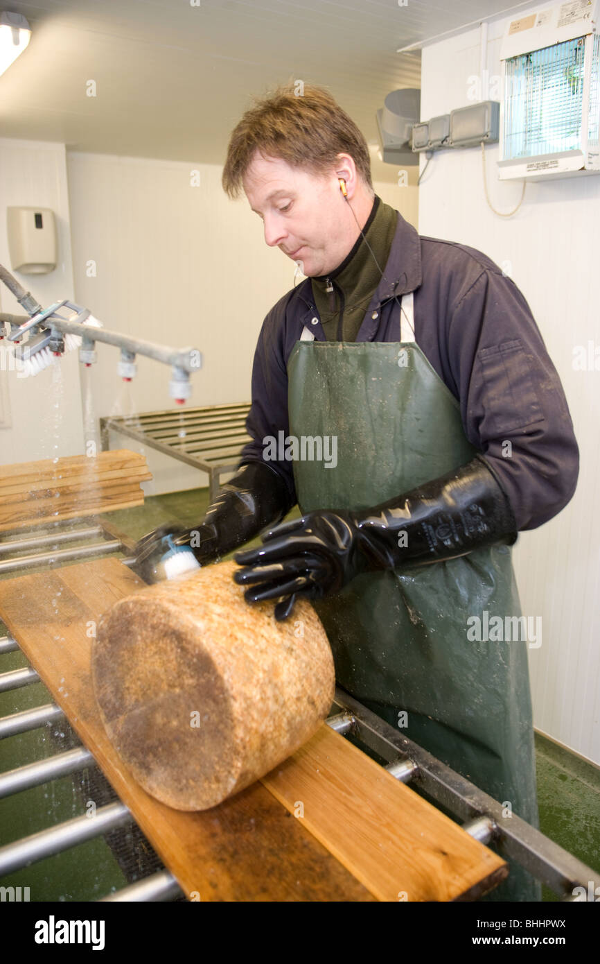 Mould cheeses hi-res stock photography and images - Alamy