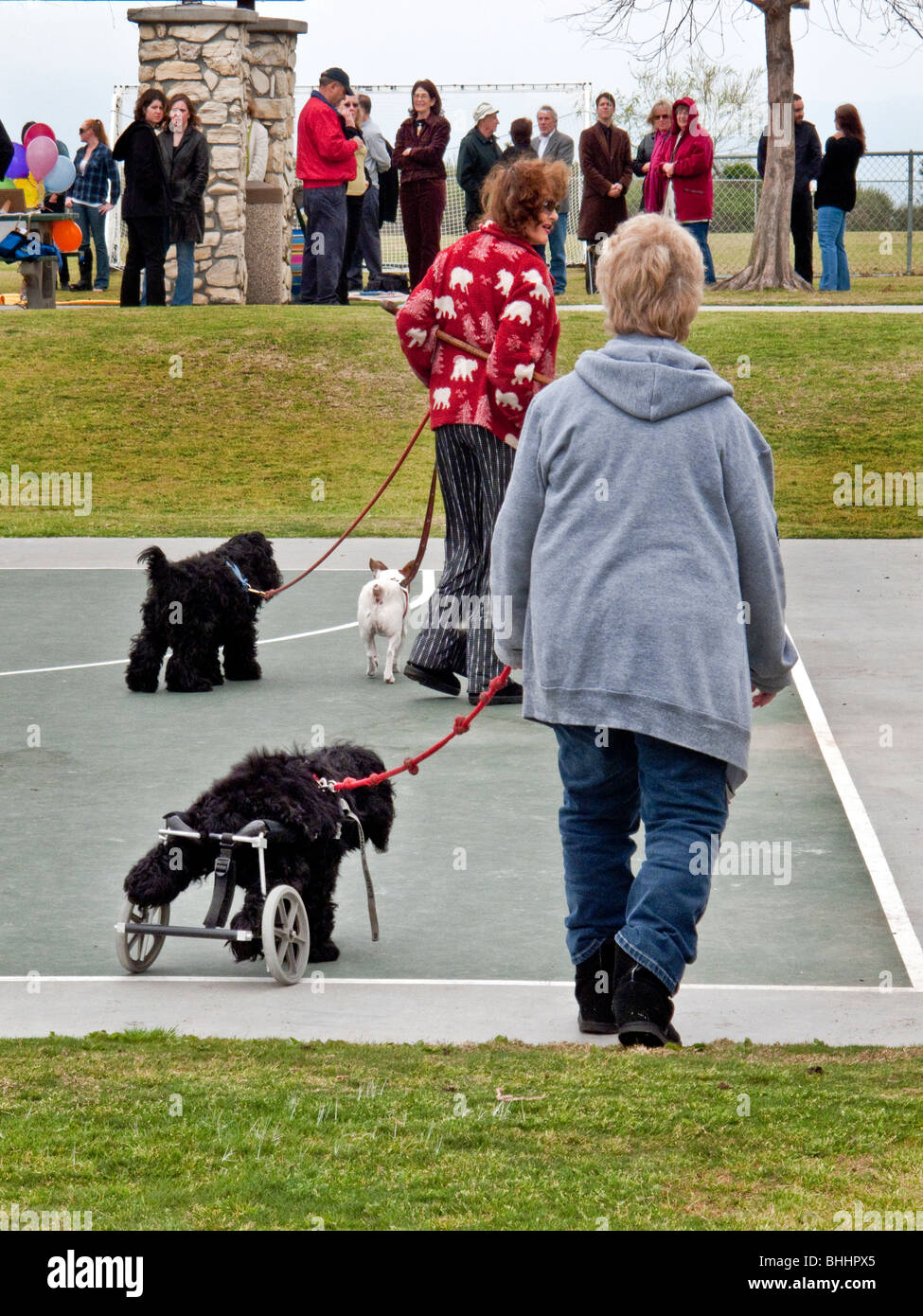 No legs hi-res stock photography and images - Alamy