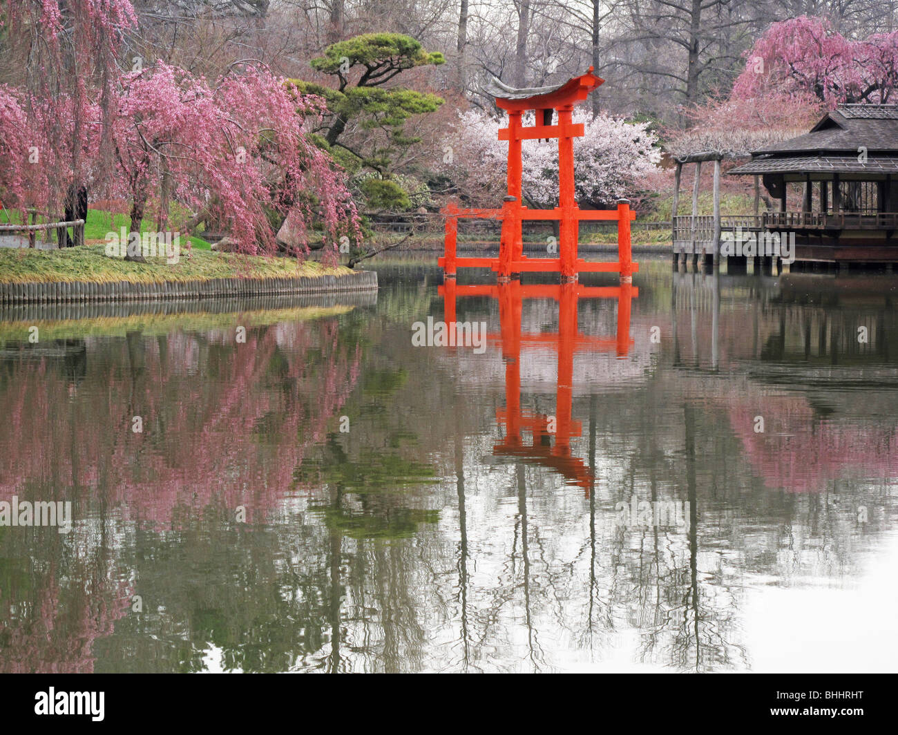 Brooklyn botanical garden japanese hill and pond garden hi-res stock ...