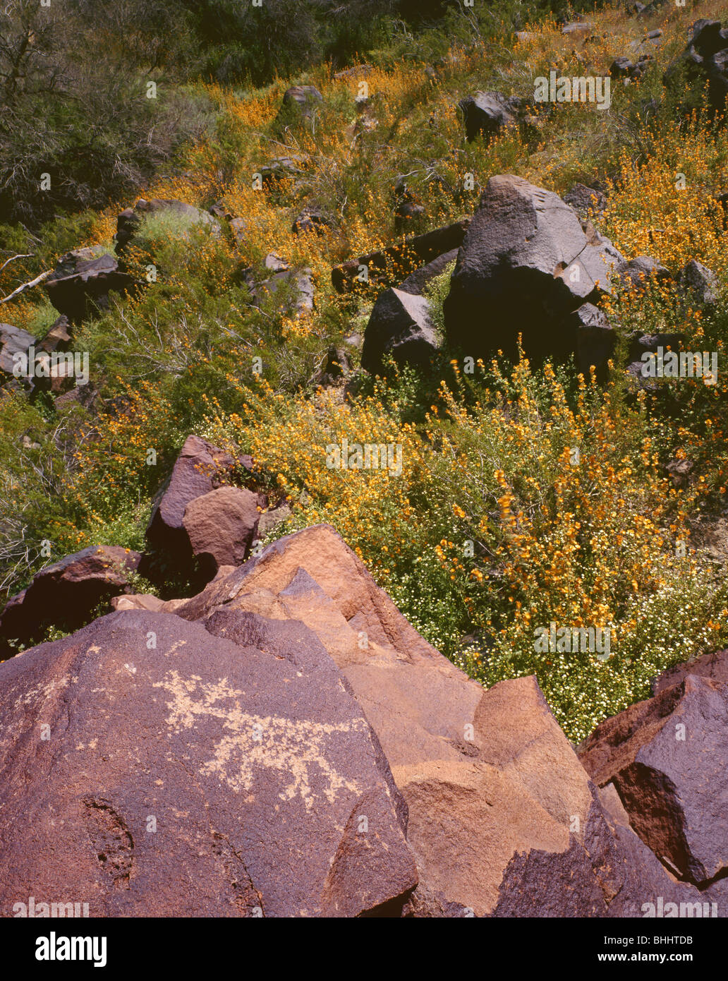 ARIZONA - Ancient pictographs at Sears Point Stock Photo - Alamy