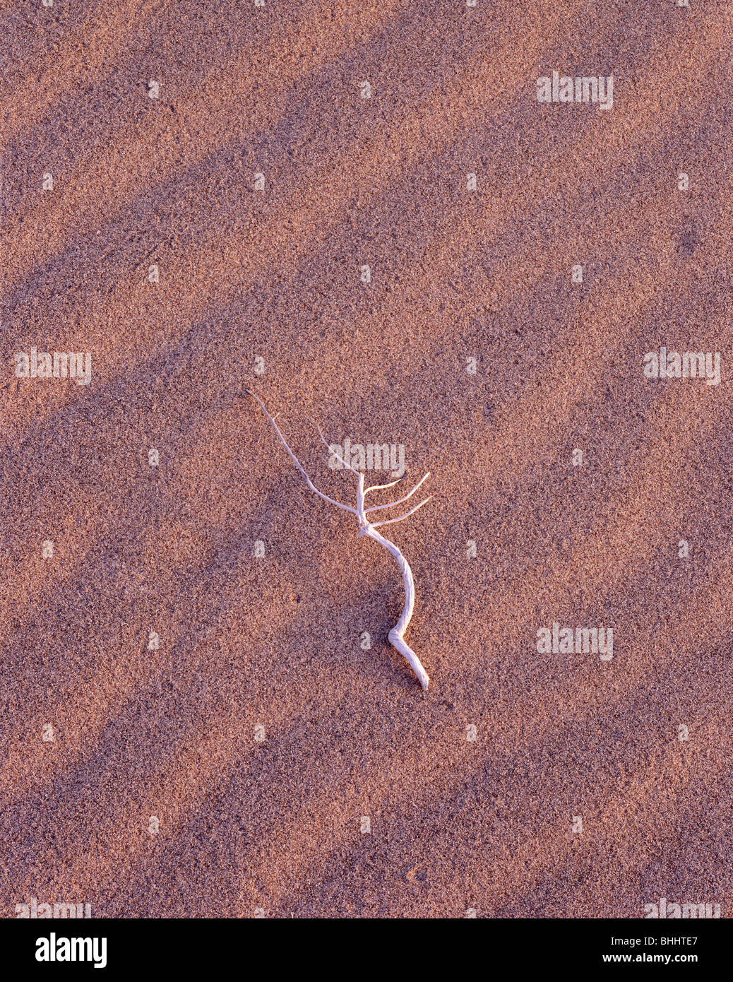 ARIZONA - Sand at Mohawk Dunes Stock Photo - Alamy