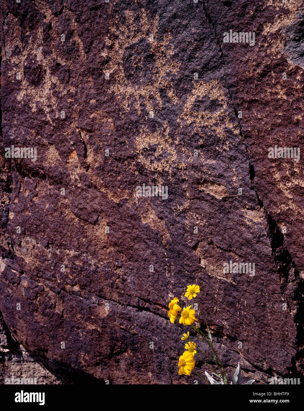 ARIZONA - Ancient pictographs at Sears Point Stock Photo - Alamy