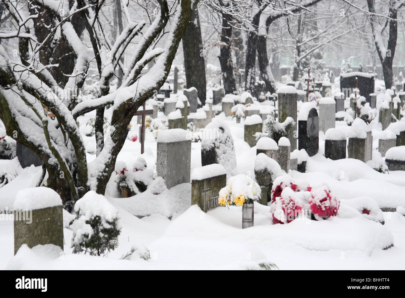 Snow covered cemetery Stock Photo - Alamy