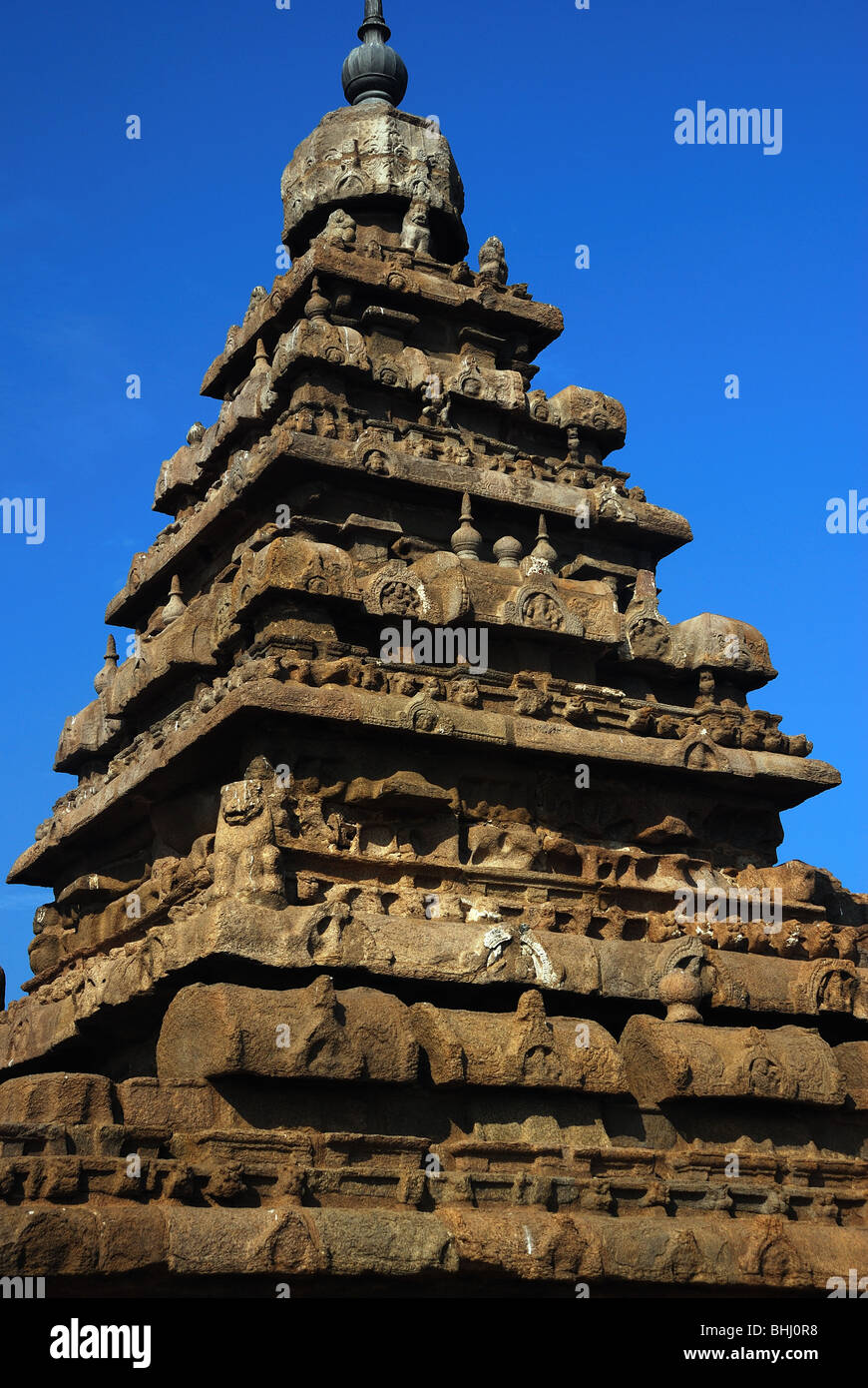 Shore Temple