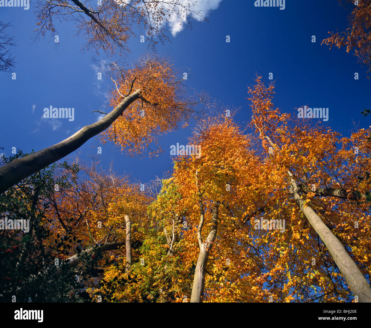 Southborough hi-res stock photography and images - Alamy