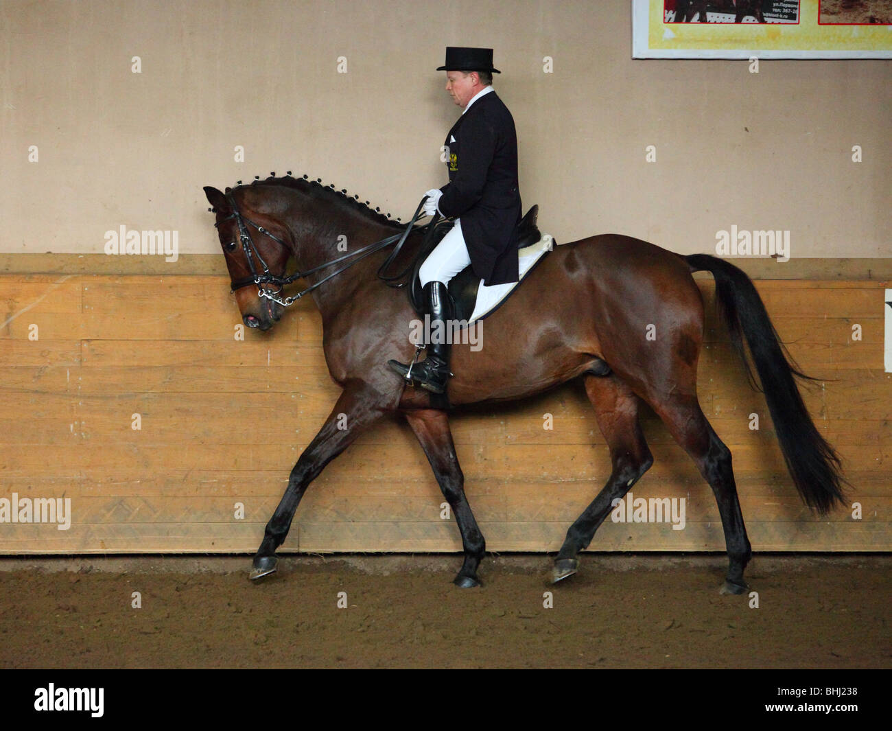 Dressage clothing hi-res stock photography and images - Alamy