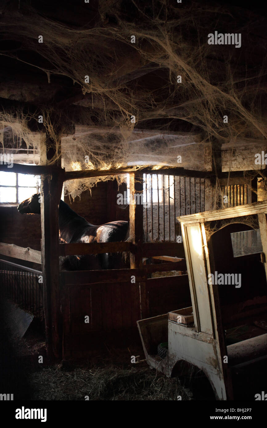 Old stable hi-res stock photography and images - Alamy