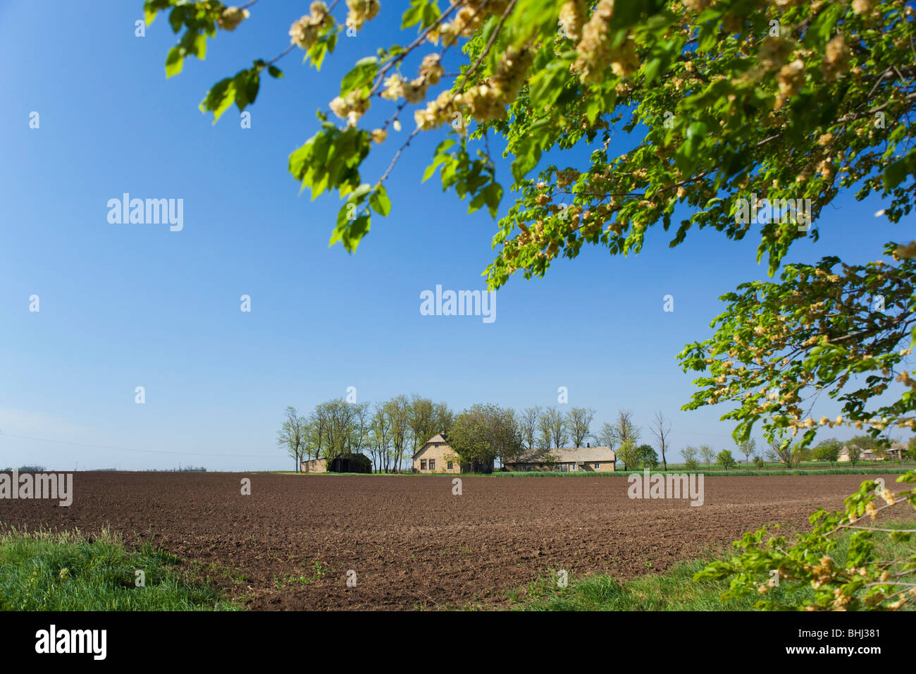 Serbia spring hi-res stock photography and images - Alamy