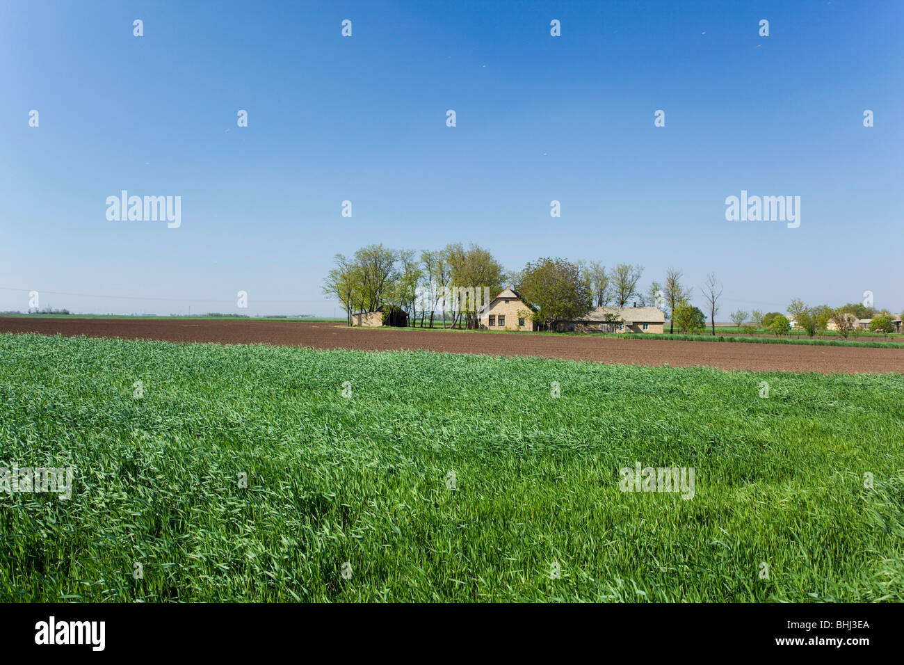 Village in Vojvodina, Serbia, spring Stock Photo - Alamy