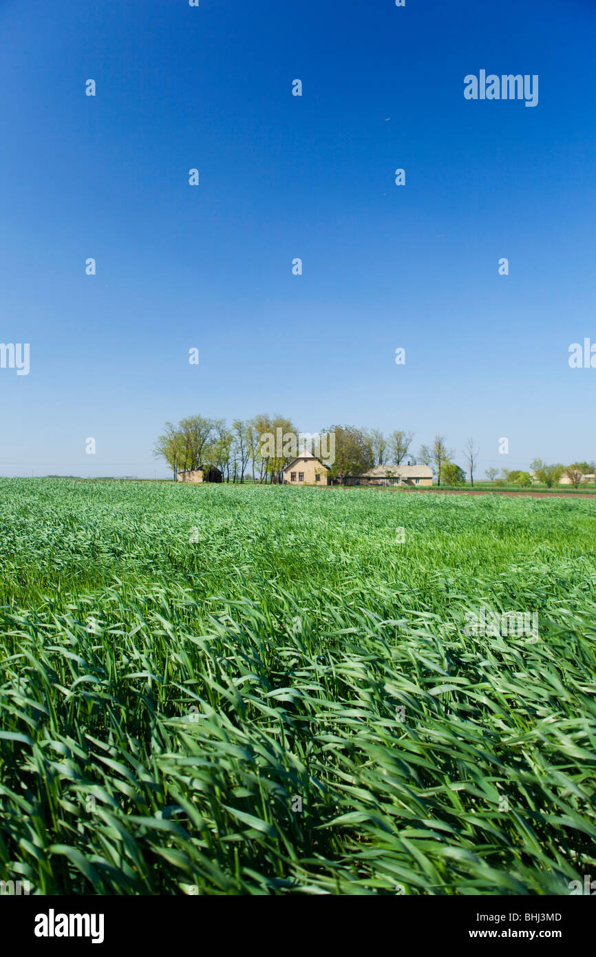 Serbia spring hi-res stock photography and images - Alamy