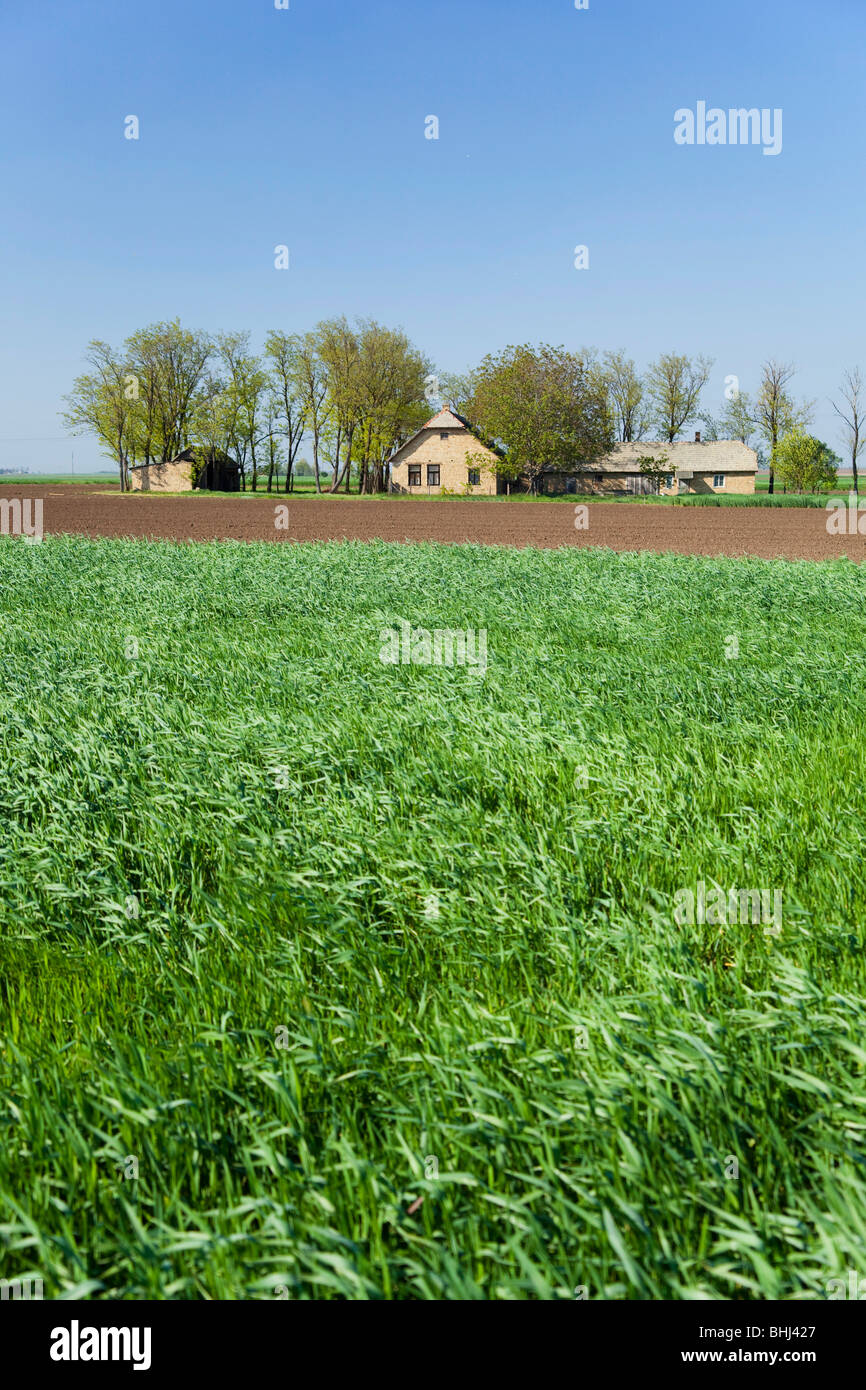 Vojvodina, Serbia, spring Stock Photo - Alamy
