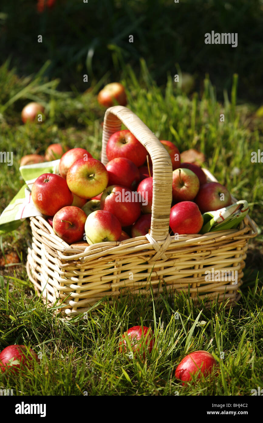 Apples in a basket Stock Photo - Alamy