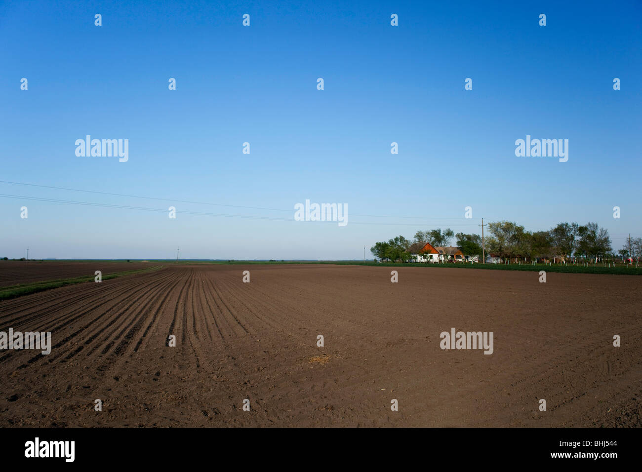Vojvodina food hi-res stock photography and images - Alamy