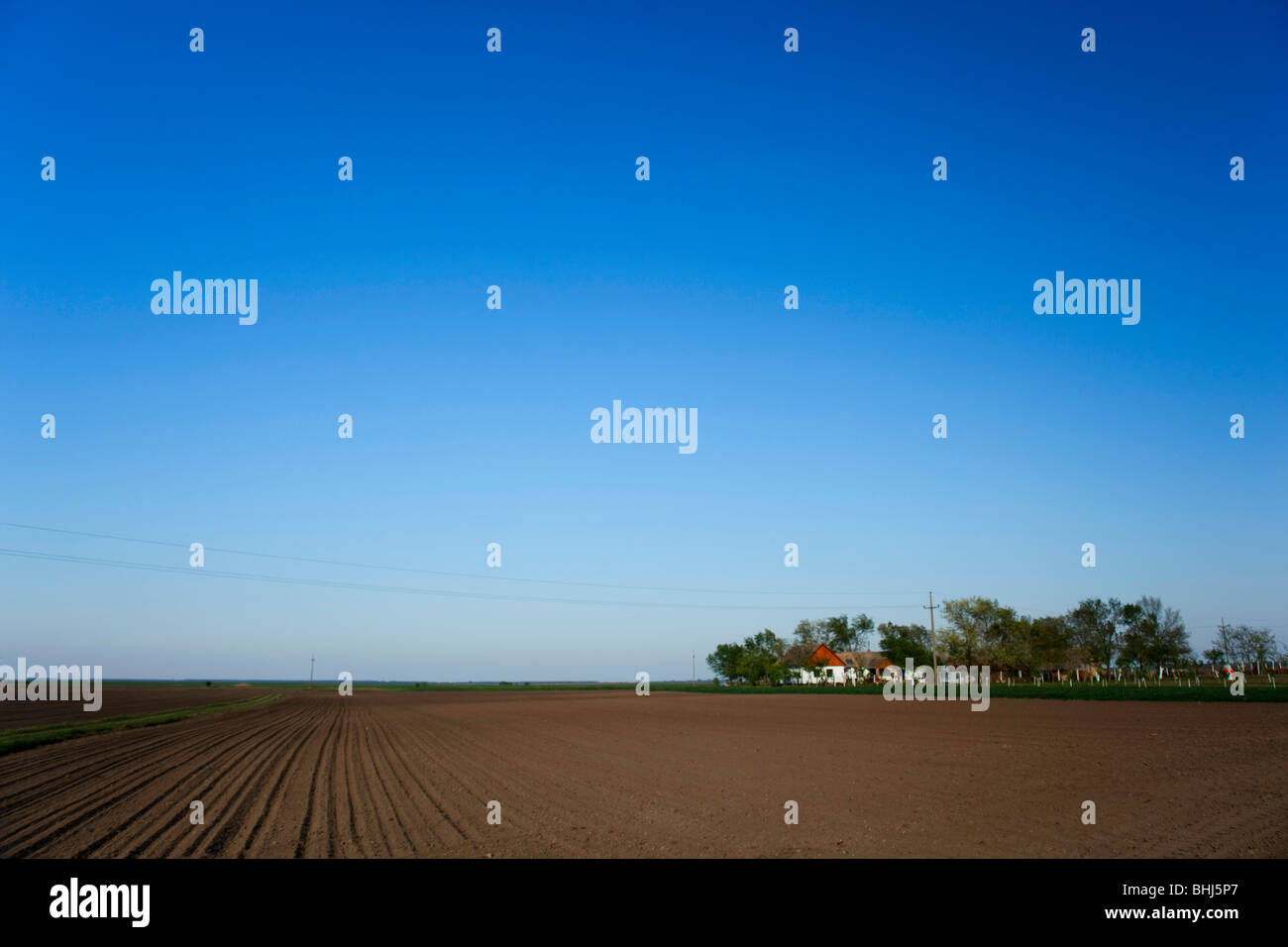 Vojvodina, Serbia, spring Stock Photo - Alamy
