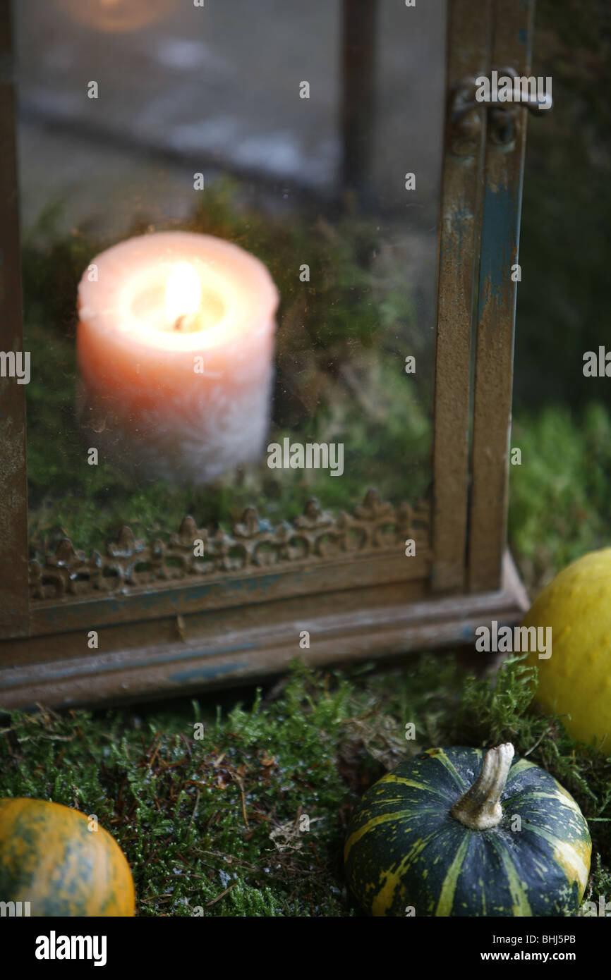 Vegetables and a lantern Stock Photo - Alamy