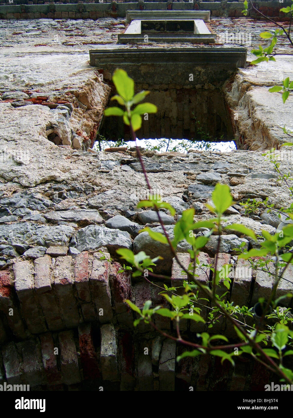 View up the wall of an old castle, with a tree branch Stock Photo - Alamy