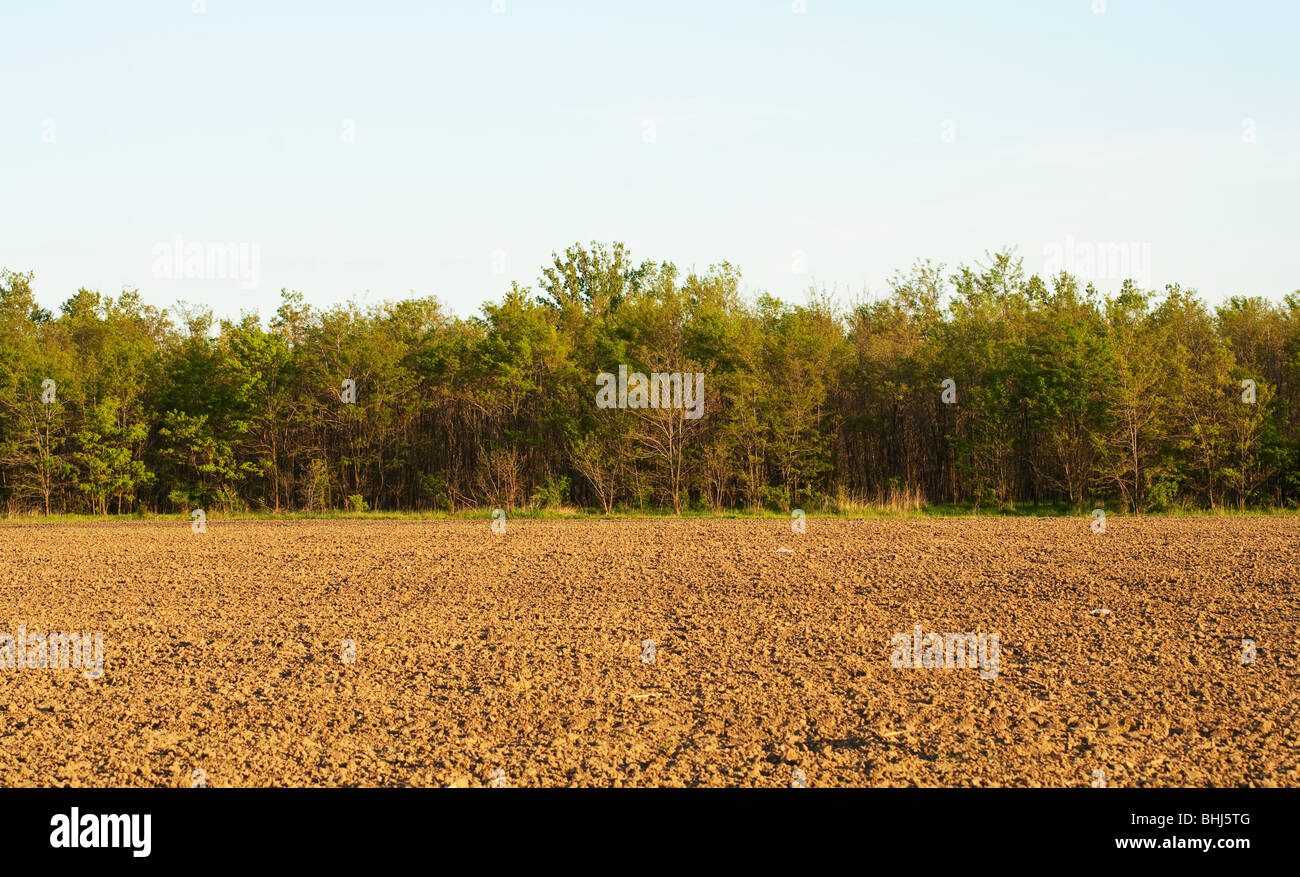 Plough soil under blue sky Stock Photo - Alamy