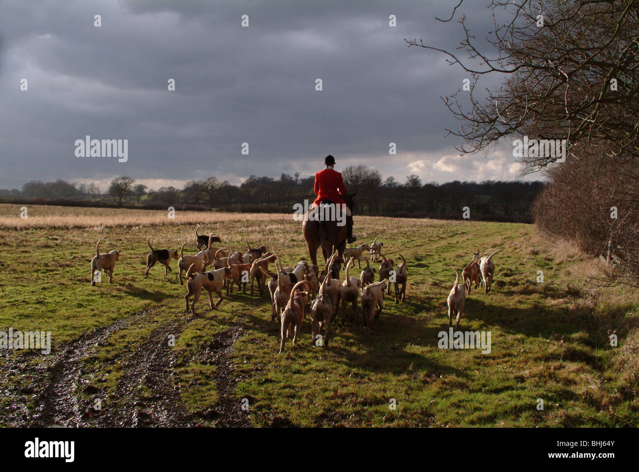 Hunting fieldsport hi-res stock photography and images - Alamy