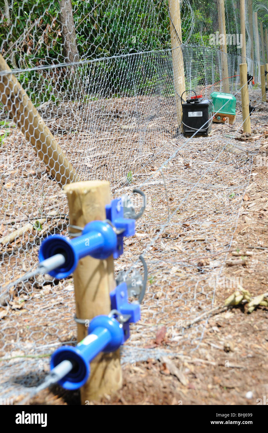 A bird pen Stock Photo - Alamy