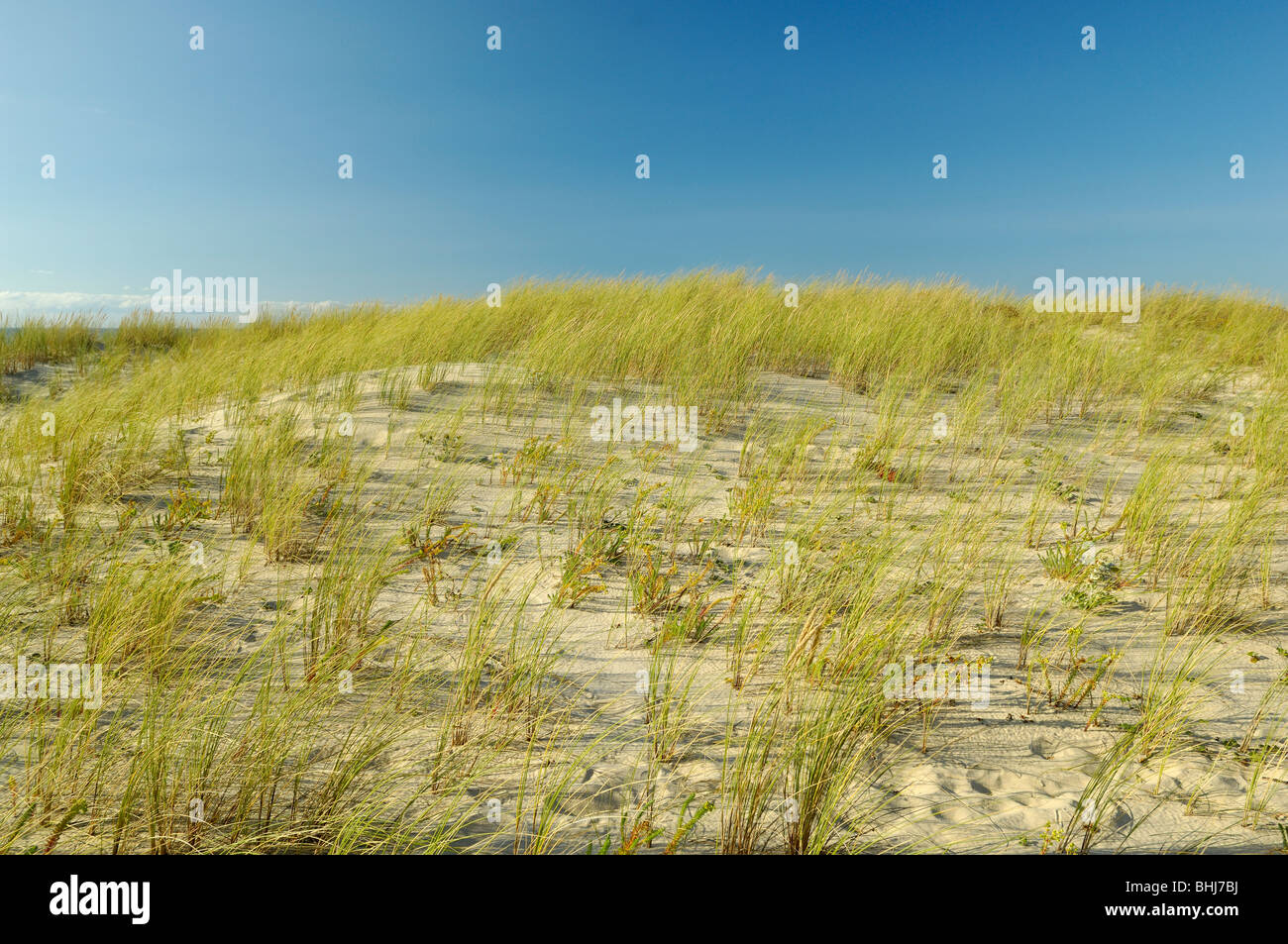 Sea view Atlantic ocean Stock Photo - Alamy