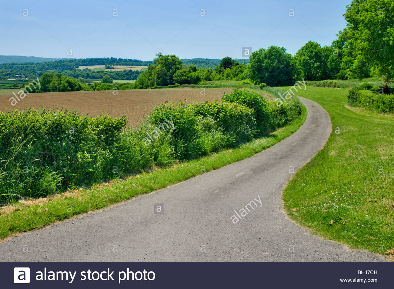 Country Lane With Hedgerow High Resolution Stock Photography and Images ...