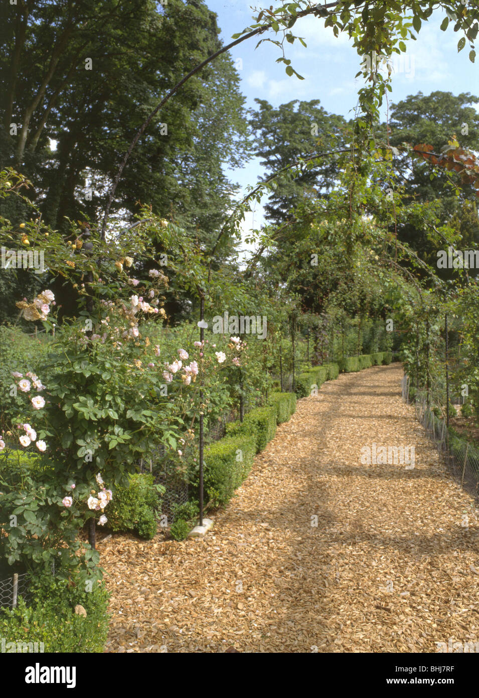 The rose garden, Brodsworth Hall, South Yorkshire, 1999. Artist: N ...
