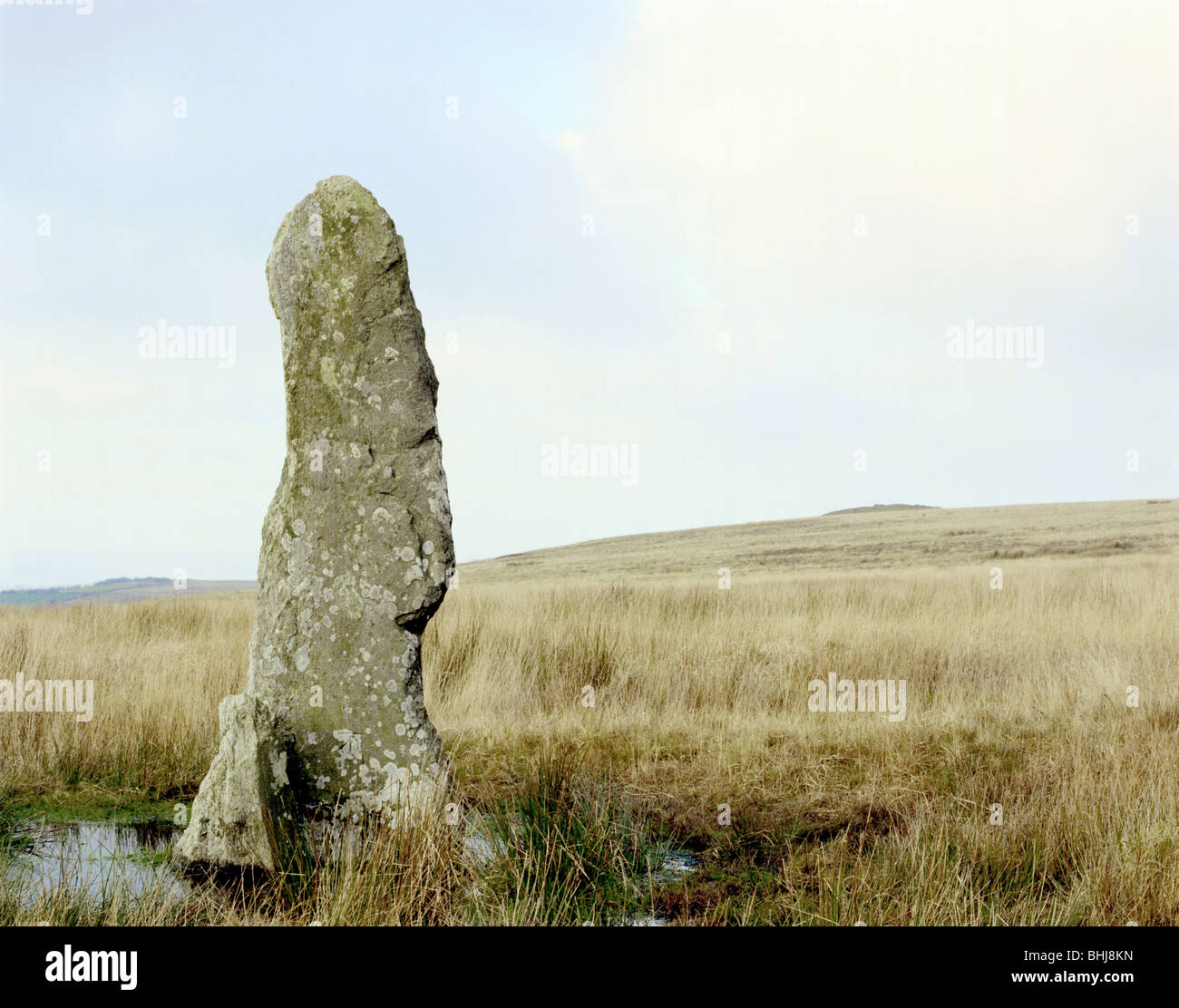 Barrow moor hi-res stock photography and images - Alamy