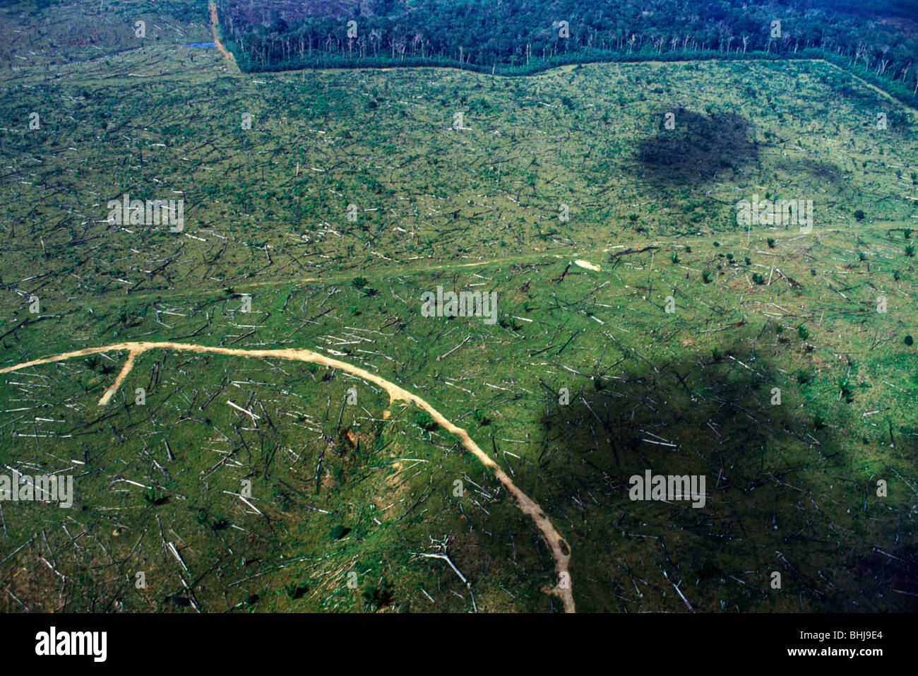 Amazon deforestation aerial brazil hi-res stock photography and images ...
