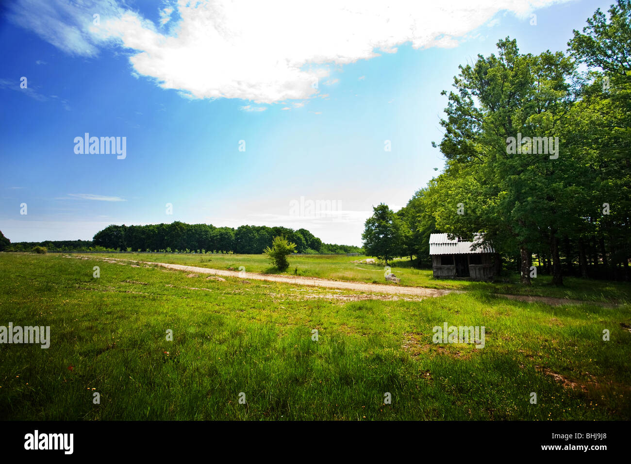 Landscape with forest and grassfield under blue sky Stock Photo - Alamy